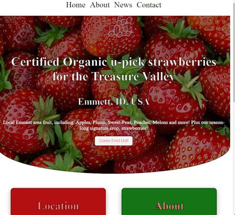 Create A Static Website In Html Css And Javascript By Rick1515 Fiverr