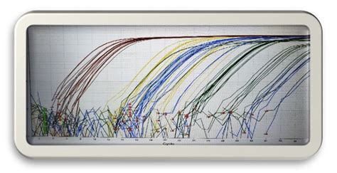 Molecular Biology Assays Neyroblastgxs
