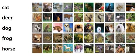 Open Set Recognition Model Based On Negative Class Sample Feature Enhancement Learning Algorithm