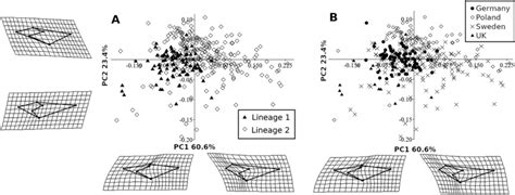 Principal Component Plots Of Procrustes Shape Coordinates For Download Scientific Diagram