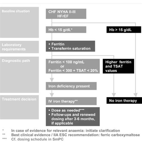 Algorithm For Diagnosis And Treatment Of Iron Deficiency In Patients Download Scientific