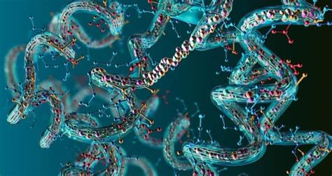 Single Protein Nanopore Method Detects Post Translational Modifications Heal Security Inc