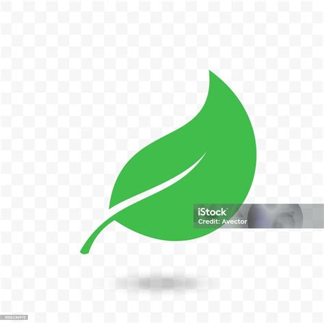 에코 바이오 또는 유기농 채식 디자인 잎 벡터 로고 그림자와 투명 한 배경에 고립 된 녹색 잎 아이콘 0명에 대한 스톡 벡터 아트 및 기타 이미지 Istock