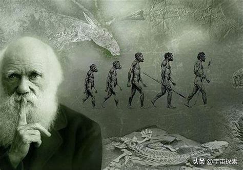 第一个人究竟是如何诞生的？人类到底来自何处？ 人类 智人 祖先 新浪新闻