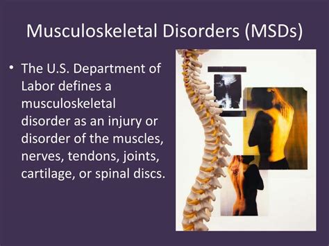 What Is A Musculoskeletal Disorder Msd At Jane Shepherd Blog