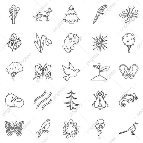 Outline Nature Vector Hd Png Images Nature Icons Set Vector Outline Decoration Wood Set Png