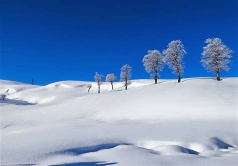 Goderdzi Ski Resort Info Guide Goderdzi Georgia Review