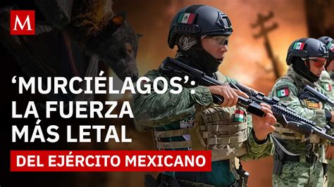 Noticias De Ejército Mexicano En Milenio Grupo Milenio