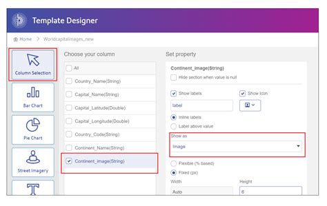 Accessing Images Available As Public Url In Spectrum Spatial Analyst