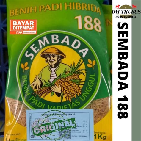 Jual Benih Padi Hibrida Sembada Kg Shopee Indonesia