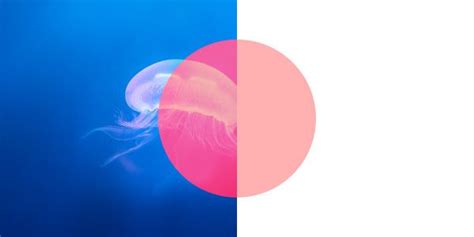 Blending Modes In Css Color Theory And Practical Application Envato Tuts Web Design Tutorial