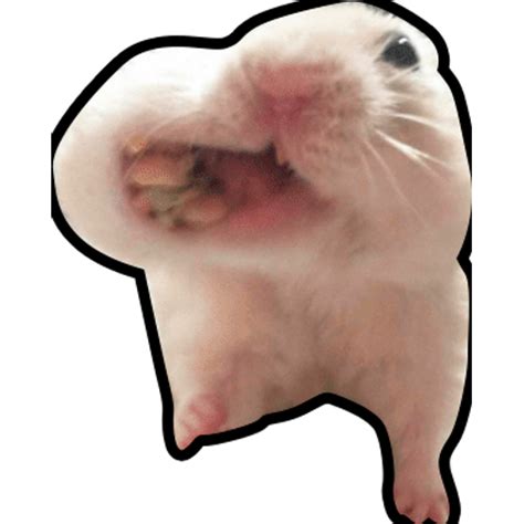 Sticker Maker Hamsters Memes