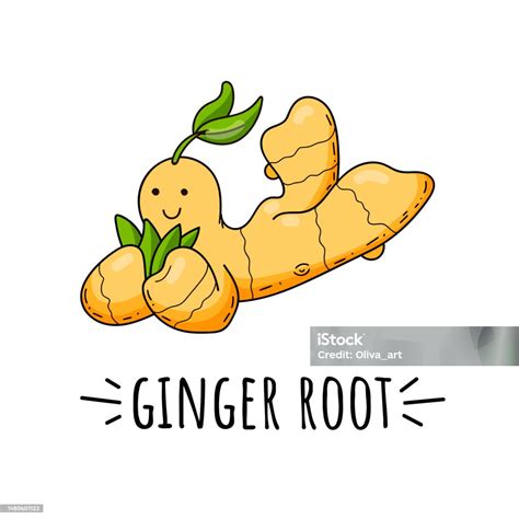 Funny Ginger Root Cute Vector Character Logo Template Stock