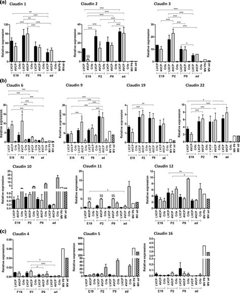 Developmental Analysis Of Claudin Transcript Levels In Choroid Download Scientific Diagram