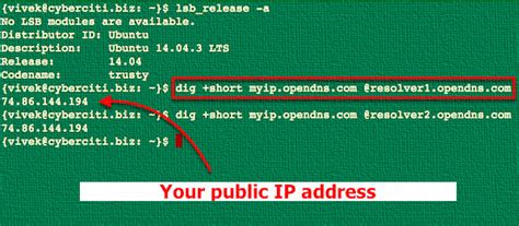 How To Find Out Your Ip Address In Linux Englishsalt