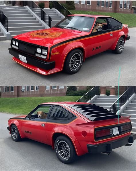 Dancing Wombat On Tumblr