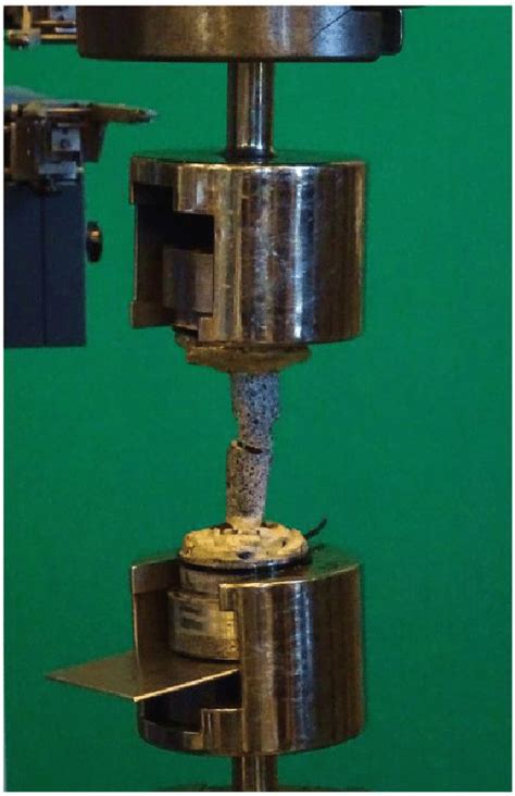 specimen after testing placed in the testing machine download