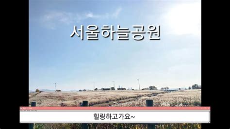 음식 강박 극복 브이로그3 언제 강박에서 벗어날까ㅠ Youtube