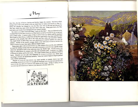 Edith And Rowland Hilder Shell Nature Books Flowers Of The Countryside