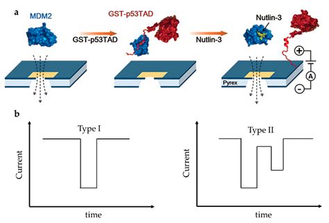 Application Of Solid State Nanopore In Protein Detection