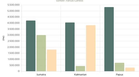 Banjir Ancam Kawasan Gambut Ri 25 Ada Dalam Kerentanan Tinggi