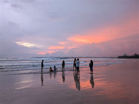 Simple Joyful Living I Am So Grateful For The Textures Colors And Patterns In Nature That