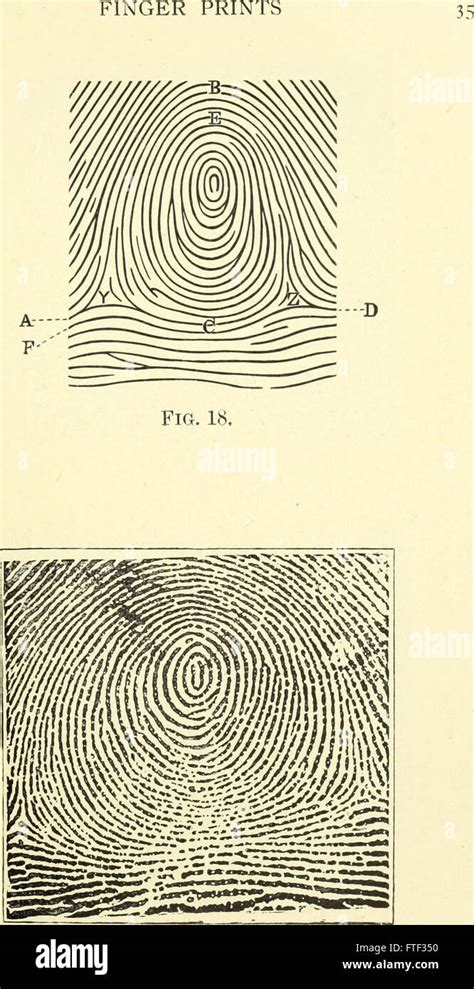 Classification And Uses Of Finger Prints 1905 Discusses The Scientific Methodology For