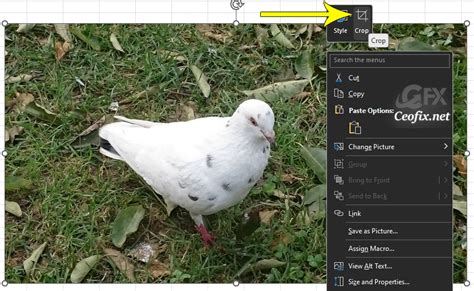 How To Crop A Picture In Excel