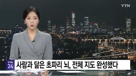 초파리 뇌 전체 지도 완성했다 인기 게시물old3 시보드
