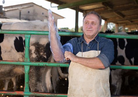 Inseminator Bilder Bläddra Bland 142 Stockfoton Vektorer Och Videor