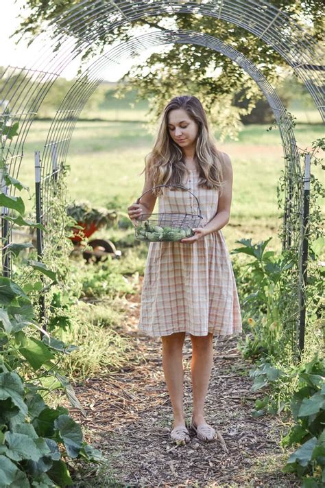 Cattle Panel Trellis DIY Arch For Your Garden The Miller Acres