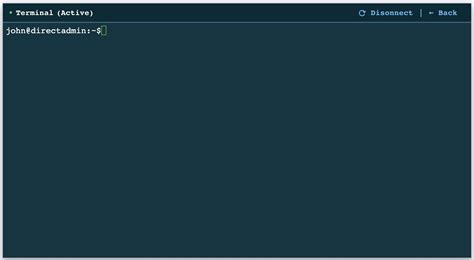 Web Terminal Feature Directadmin Docs
