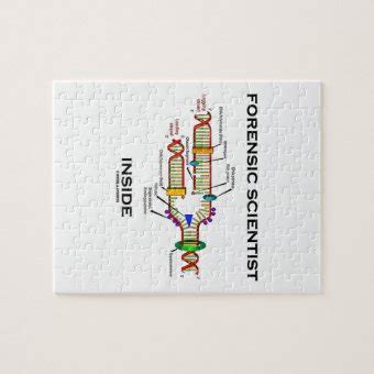 Forensic Scientist Inside DNA Replication Jigsaw Puzzle Zazzle