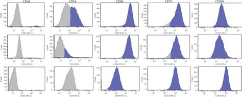 Modification Of Expression Of Specific Surface Antigen Along Passages Download Scientific