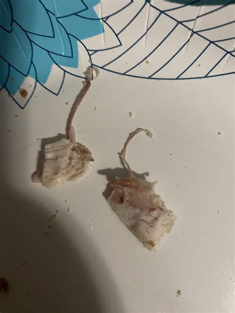 Are These Worms In My Turkey R Insects