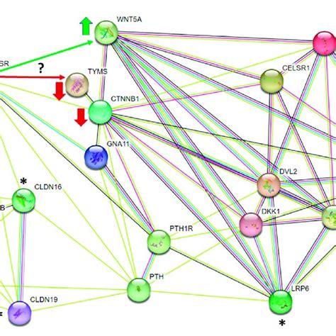 String Diagram Illustrating Potential Connections Between Download