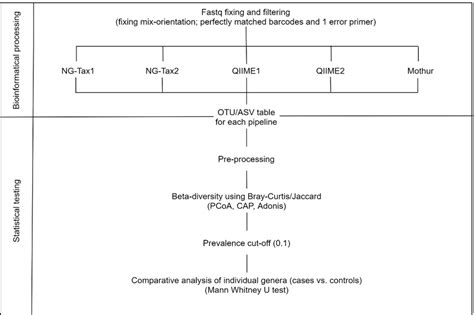Overview Of The Bioinformatical And Statistical Steps Used In This Download Scientific Diagram