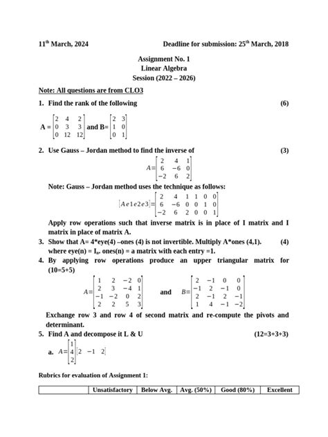 assignment linear algebra pdf