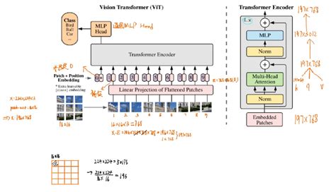 vit vision transformer 论文速读 哔哩哔哩