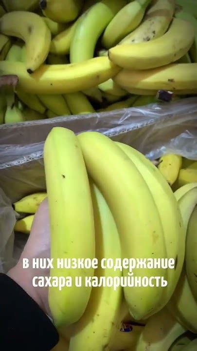 🍇8 лучших фруктов для похудения Youtube