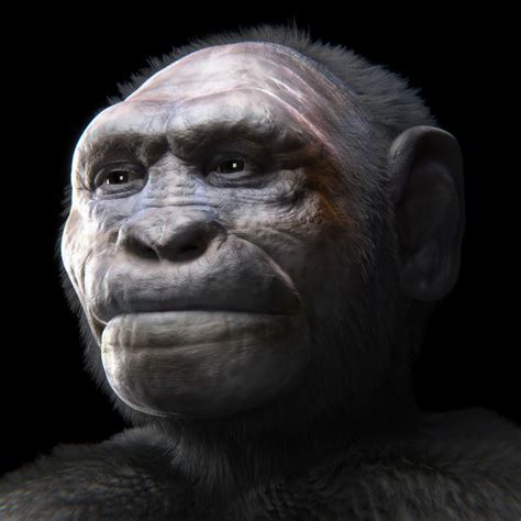 ≡ Top 7 Extinct Human Species Brain Berries