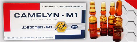 Camelyn კამელინი