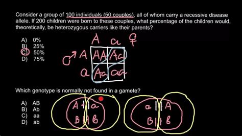 How To Find Genotypes Of Gametes In Animals Nikolays Genetics