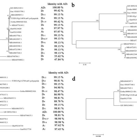 The Evolutionary Trees Of 4 Candidate Proteins Phylogenetic Analyses Download Scientific