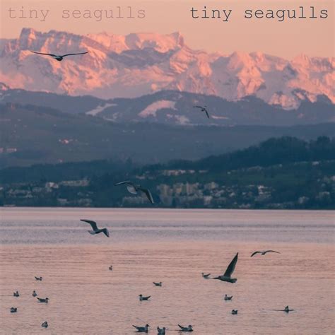 Tiny Seagulls Sliver Lyrics Genius Lyrics
