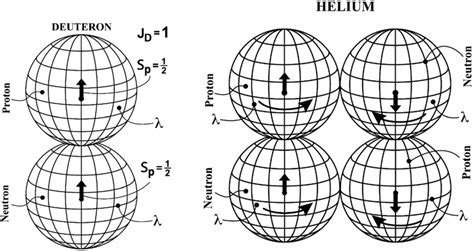 In This Figure We Illustrate On The Left The Structure Model Of The