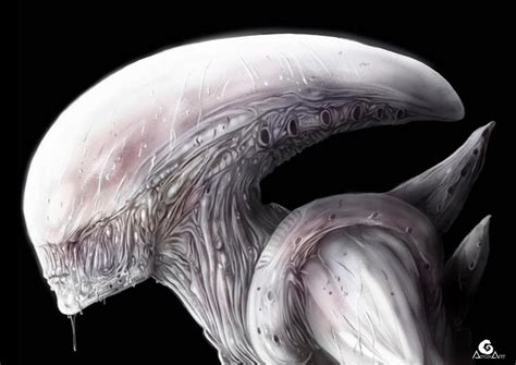 Variant Of Neomorph Alien Covenant Speed Paint By Artag95 On Deviantart