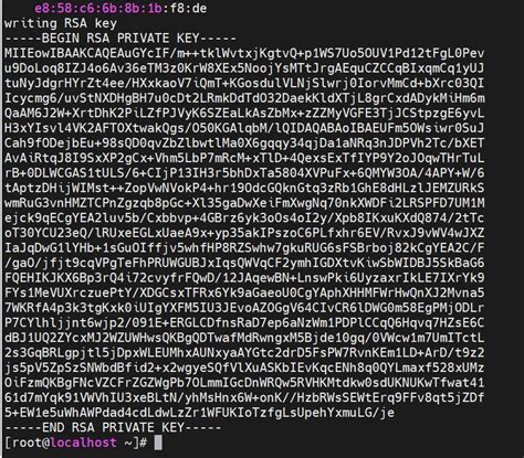 网络安全 Openssl工具 Csdn博客