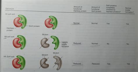 Solved Can I Get A Clear Explanation Of This Example The