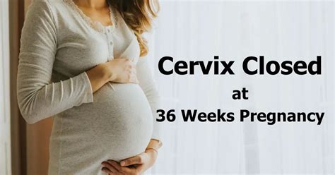 Cervix Closed At 36 Weeks What Does It Signal And What To Do